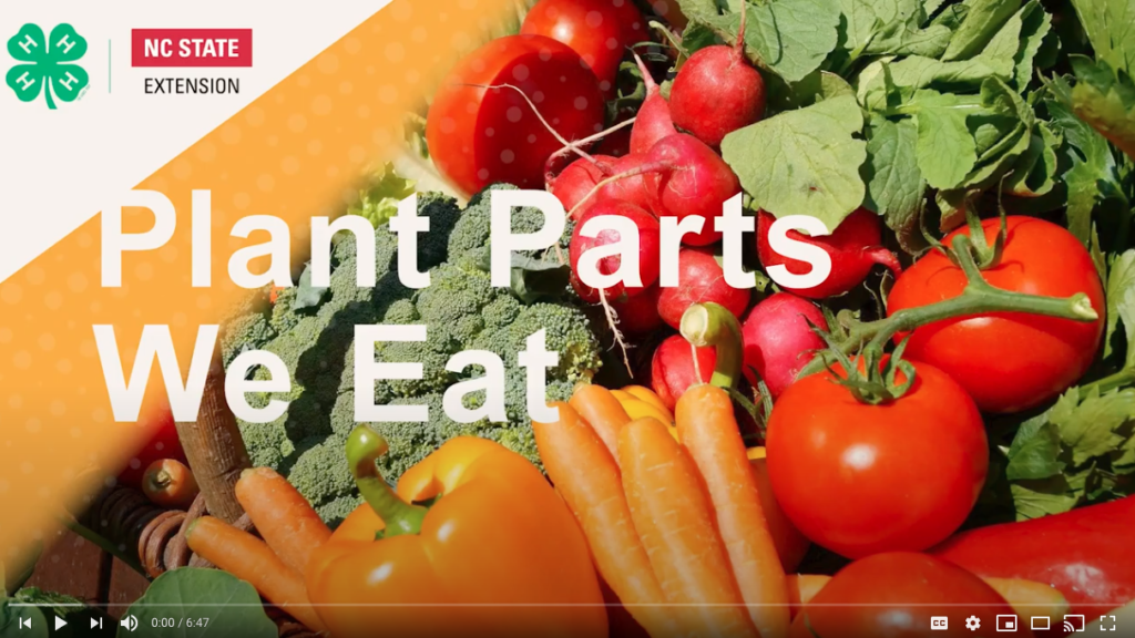 4 H Spark Activity Plant Parts We Eat North Carolina Cooperative 4-h-spark-activity-plant-parts-we-eat-north-carolina-cooperative